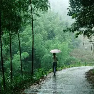 Chang Si Wu Bone Rain - article| DayDayNews