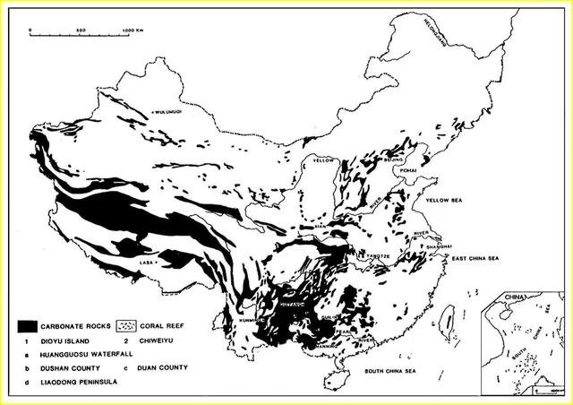 30 years of research on the classification of Chinese cave armor ...