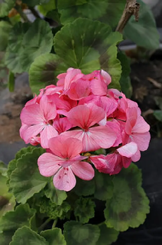 Don’t talk about phrases with deep meaning, be wise and thorough, worth ...