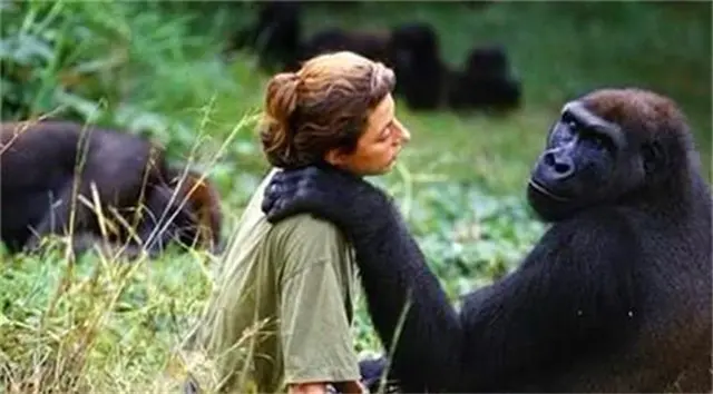 Soviet scientists tried to produce hybrid offspring of humans and ...