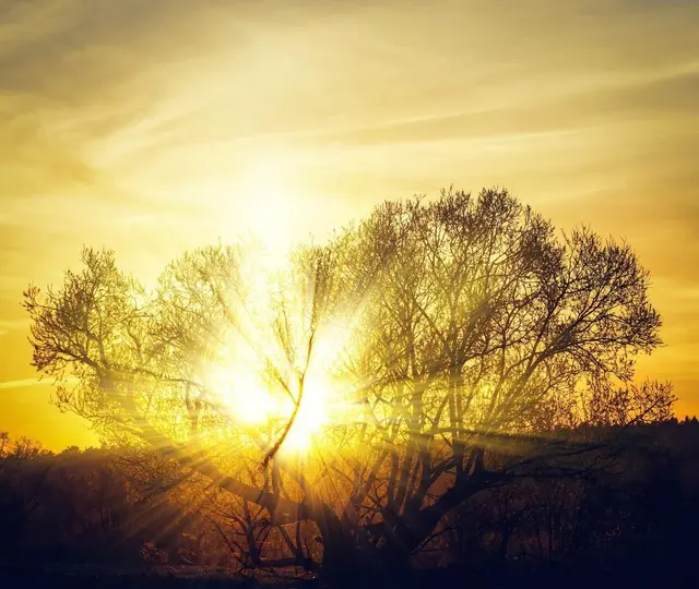 Scientists have made a new discovery that the sun that humans see on ...