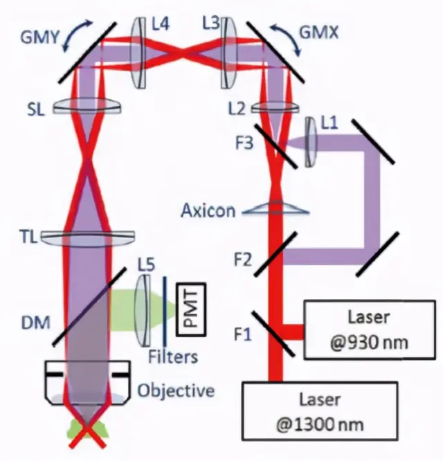 Learn about multiphoton microscopy imaging technology in 3 minutes ...