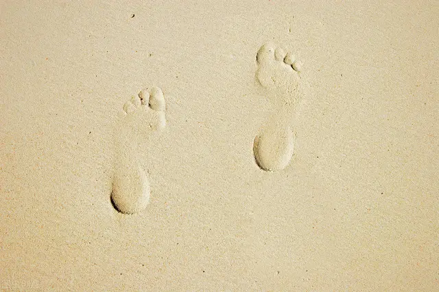 Leaving a string of footprints on the endless grass island - article ...